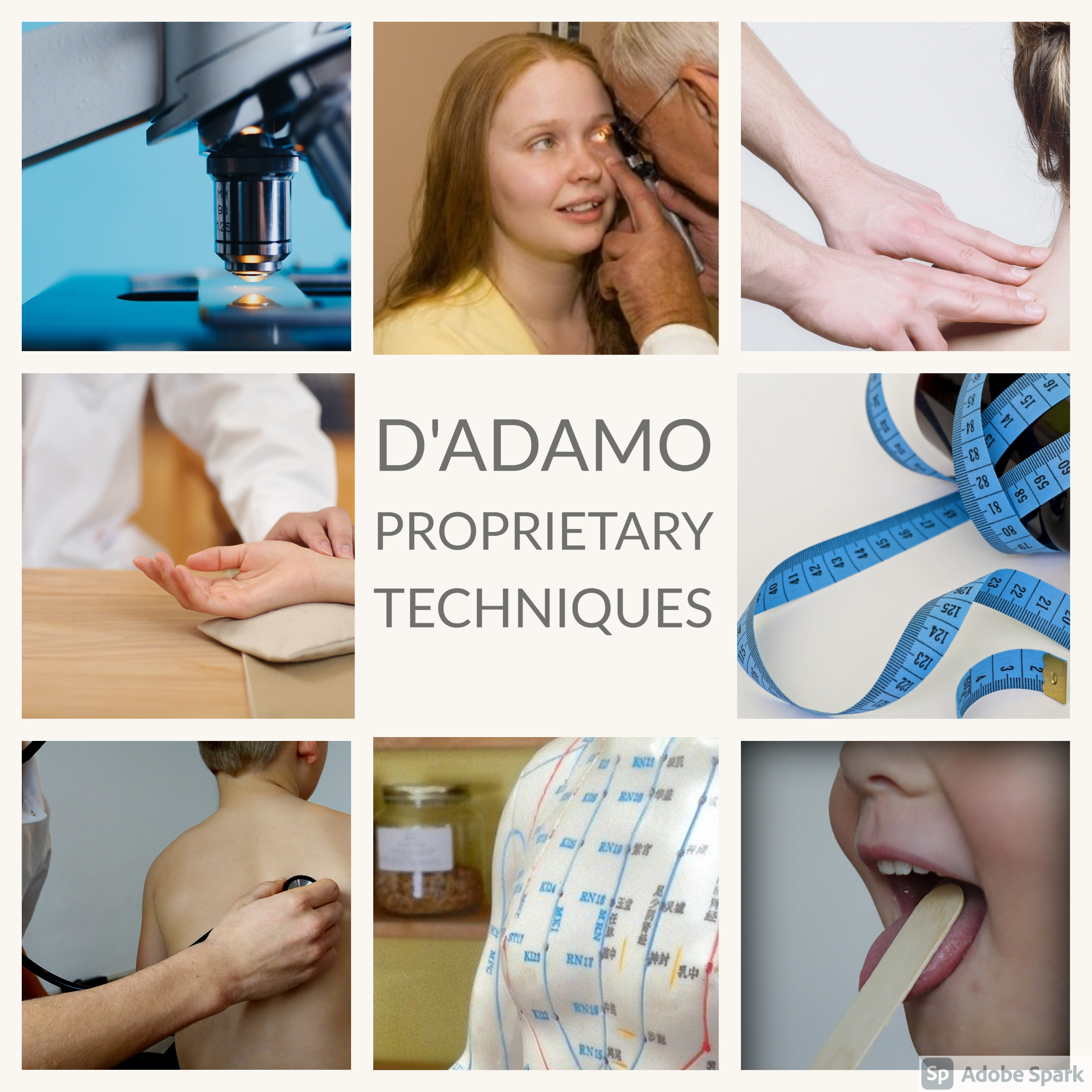 Gallery - D'Adamo Institute